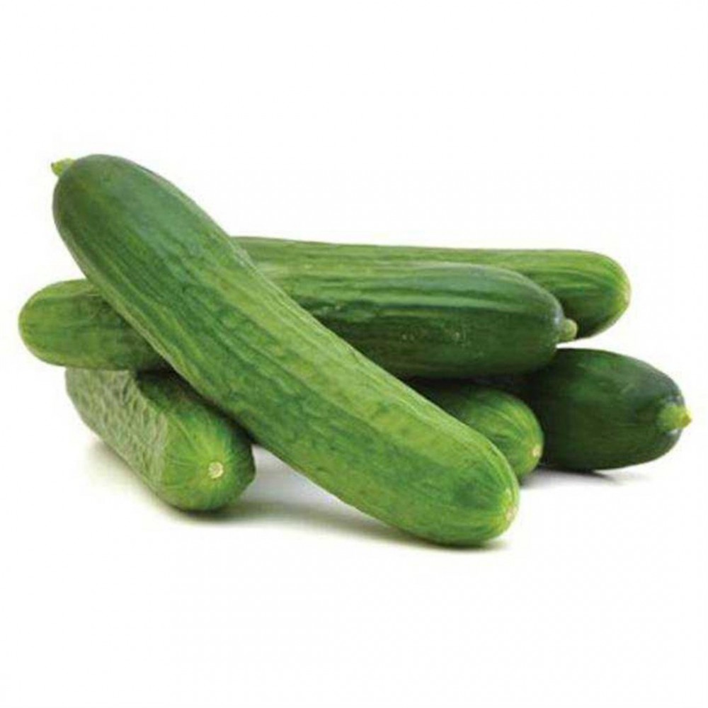 SALATALIK - 00097
